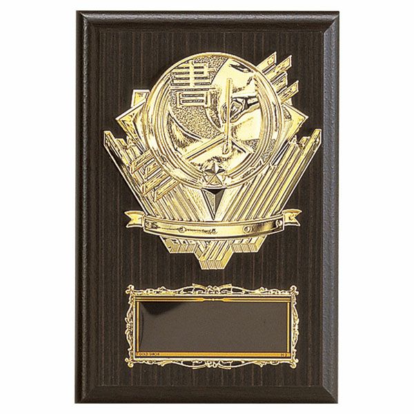 表彰楯 KV-5463C 高さ180mm【種目が選べる・短納期】｜123トロフィー