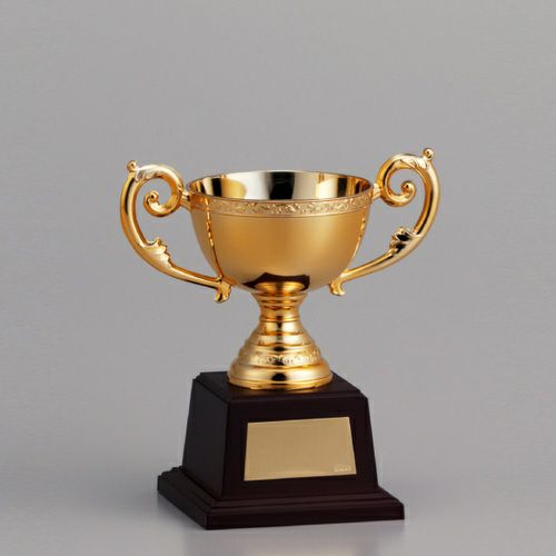 優勝カップゴールドカップ NO-3522C 高さ150mm【プレート名入れ彫刻無料・短納期】